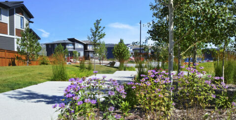 Freestone Townhomes Cochrane - New Townhomes in Riversong